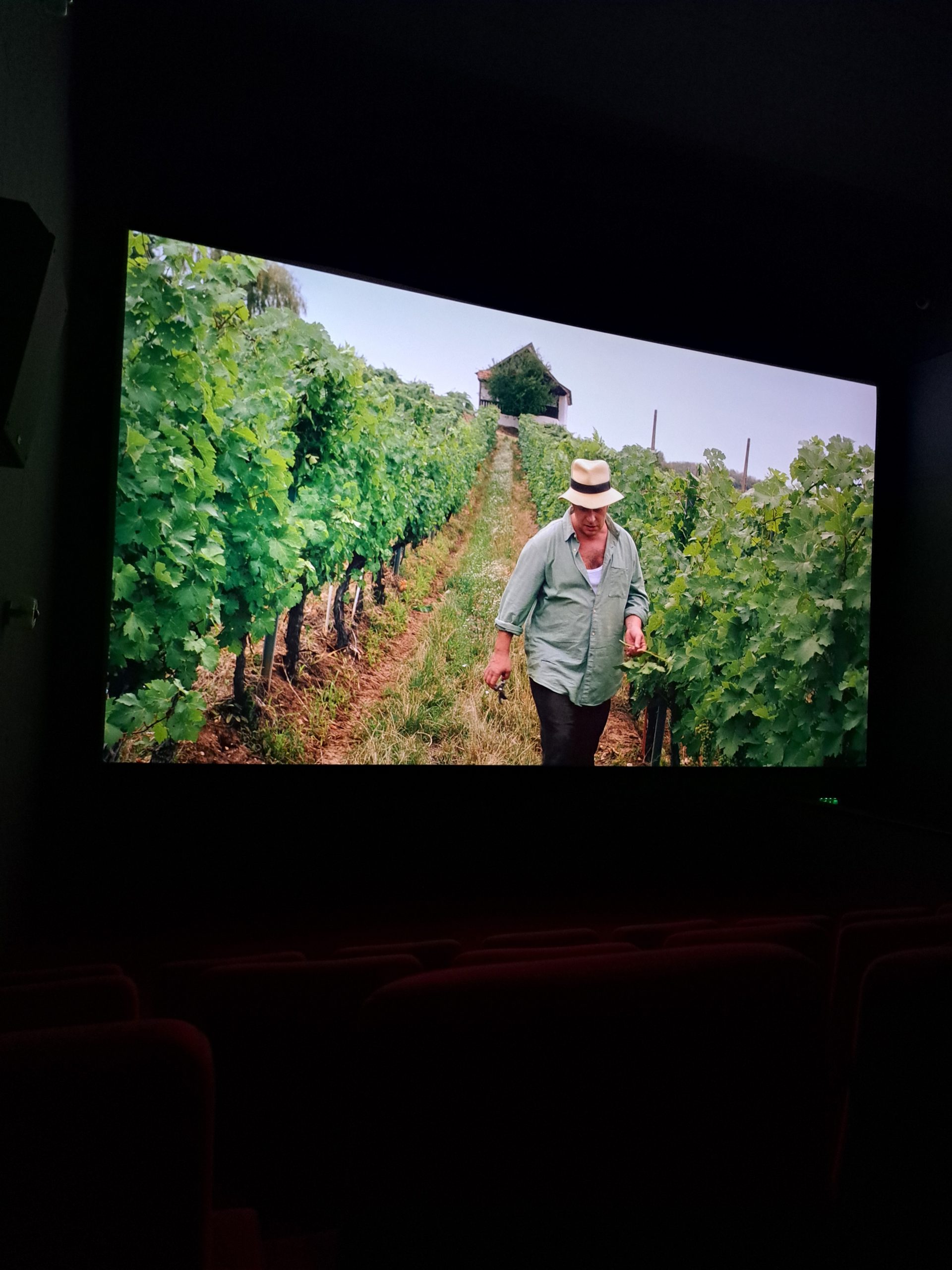 Ramon - Filmul ce binedispune * ADN de Femeie